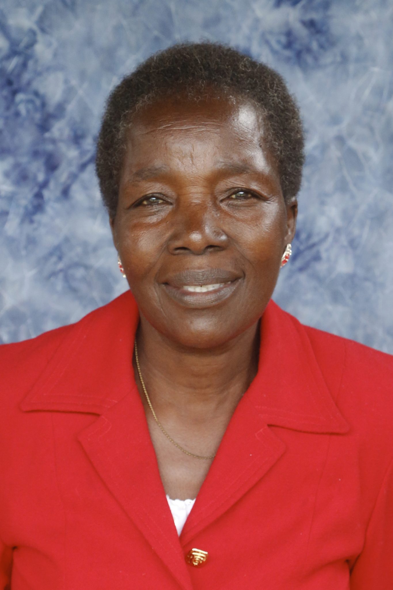 Governance | Springvale House